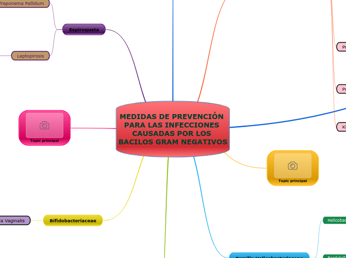 MEDIDAS DE PREVENCIÓN PARA LAS INFECCIONES...- Mind Map